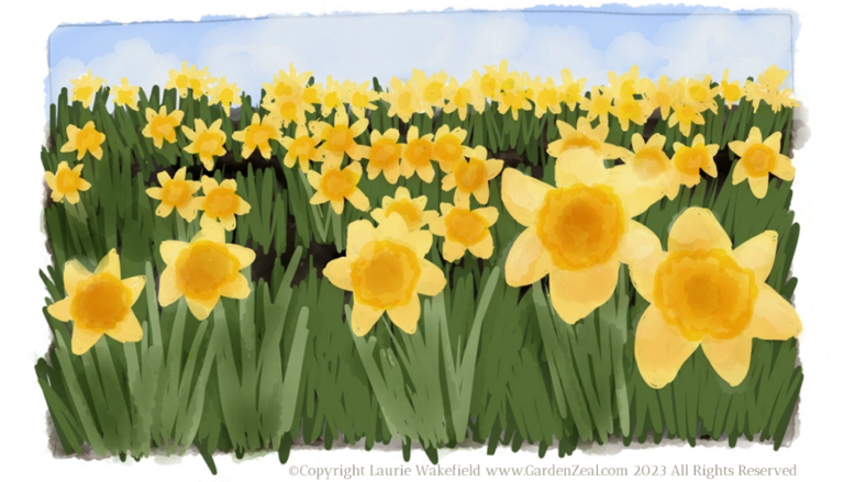 Daffodil Love - Photos from the American Daffodil Society Convention ...